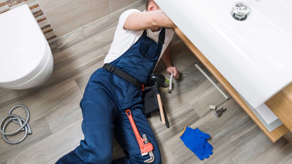 Bugs in Your Shower Grout? Here's How to Get Rid of Grout Mites - Bug ...