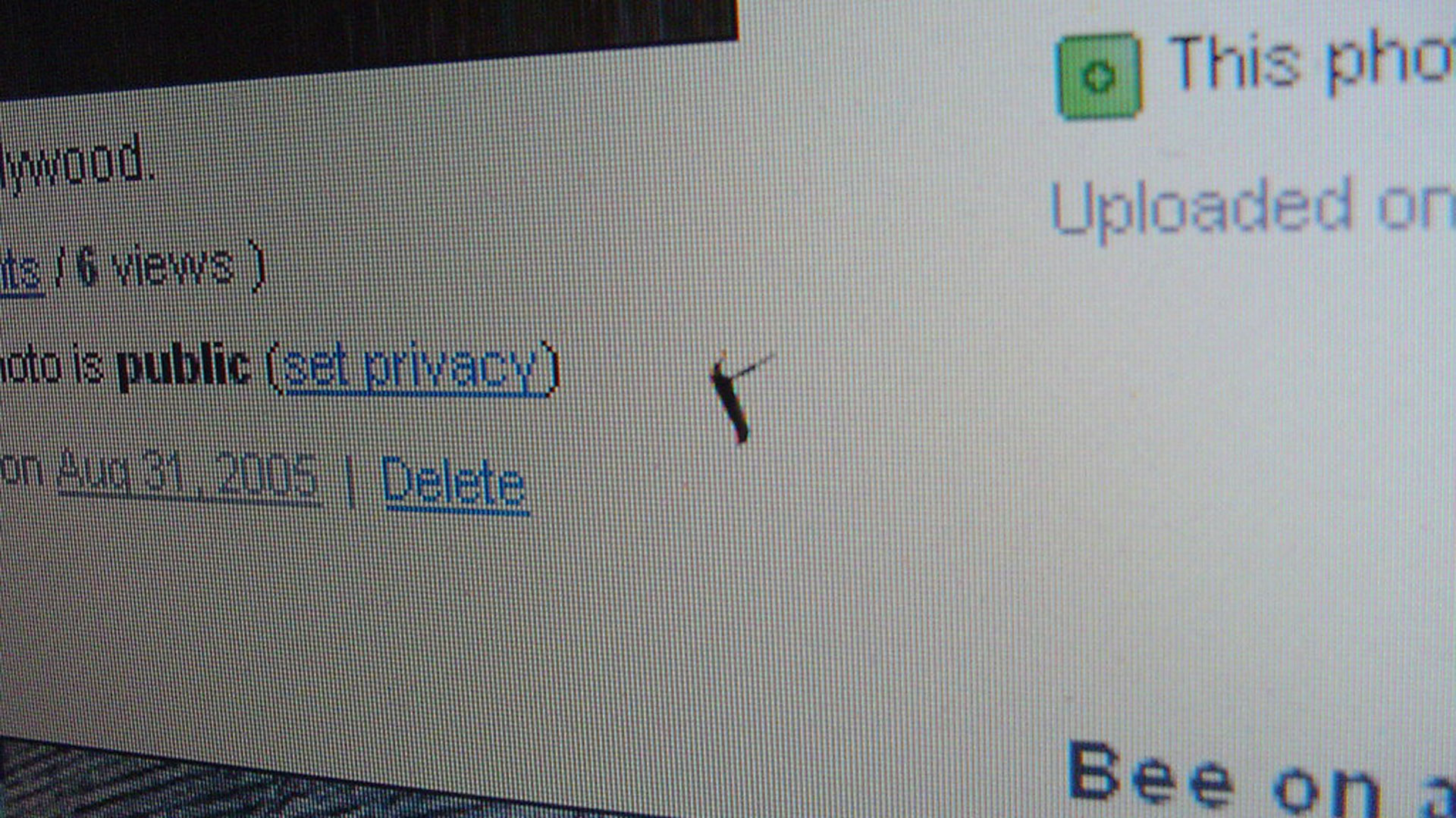 Bug Inside Computer Screen? Fix to Get it Out for Gamer - Bug Wisdoms