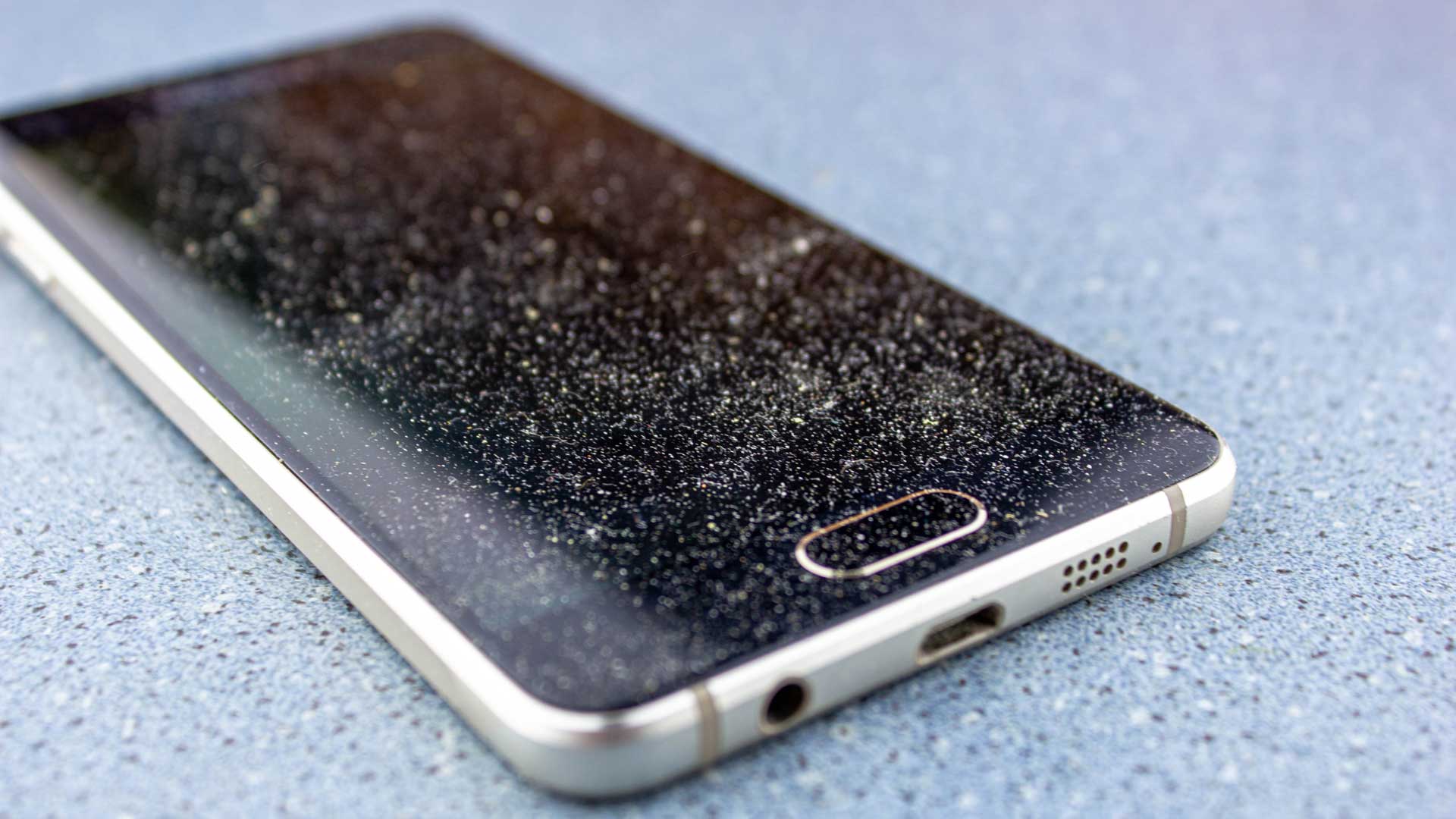 White Mites on Phone: Let's Talk About These Tiny White Bugs! - Bug Wisdoms