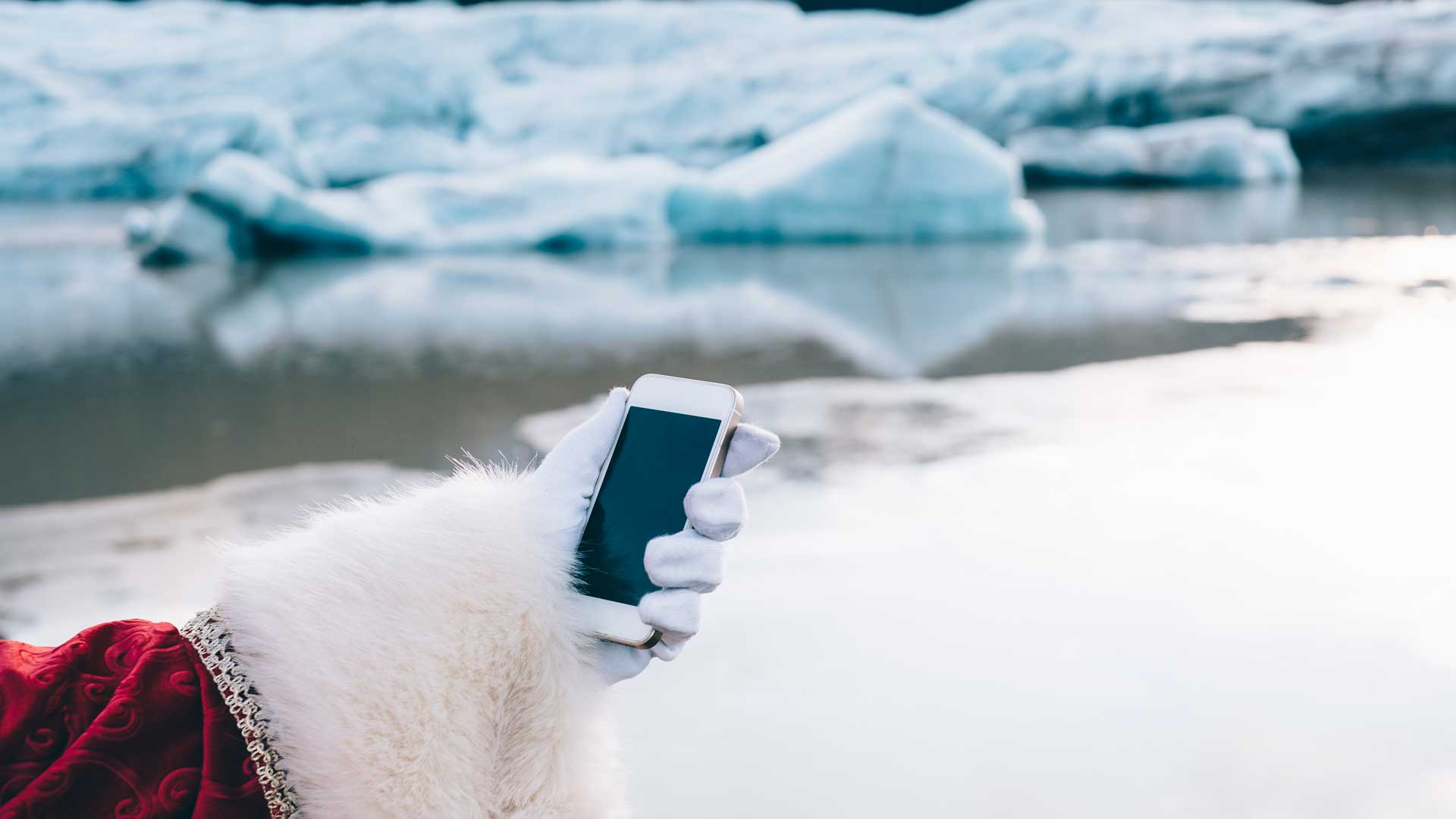 White Mites on Phone: Let's Talk About These Tiny White Bugs! - Bug Wisdoms