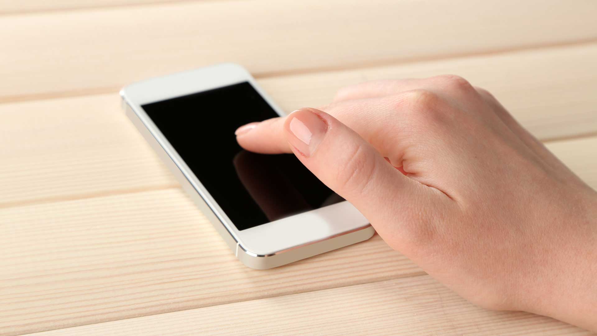 White Mites on Phone: Let's Talk About These Tiny White Bugs! - Bug Wisdoms