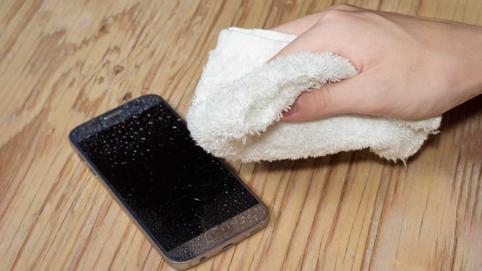 White Mites on Phone: Let's Talk About These Tiny White Bugs! - Bug Wisdoms