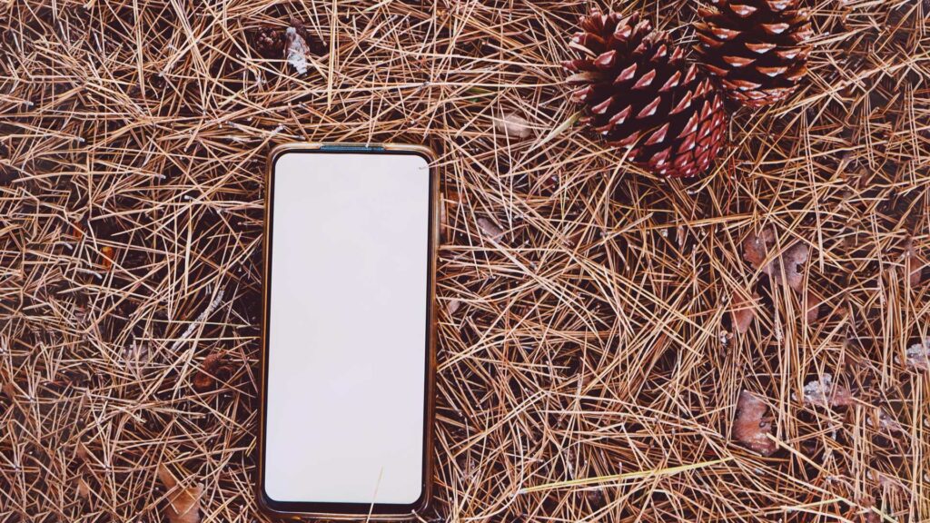 White Mites on Phone: Let's Talk About These Tiny White Bugs! - Bug Wisdoms