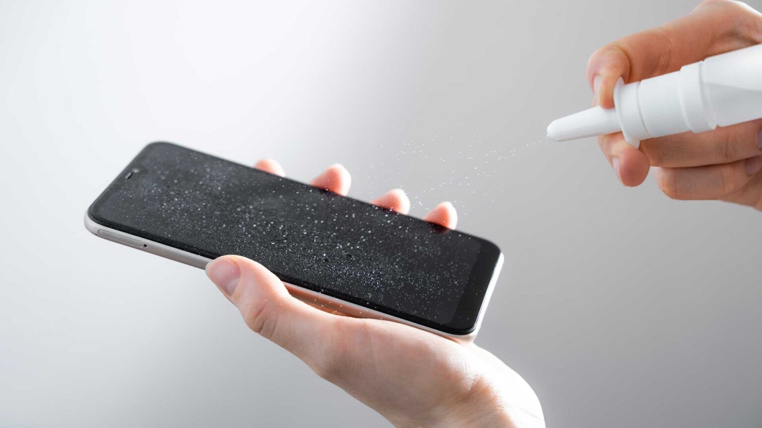 White Mites on Phone: Let's Talk About These Tiny White Bugs! - Bug Wisdoms