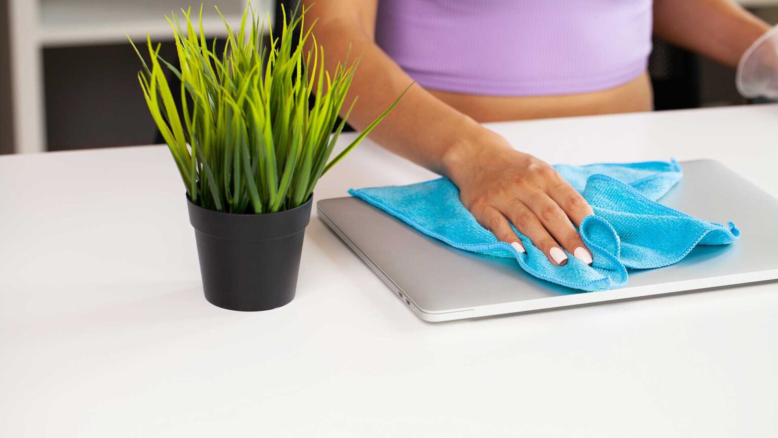 White Mites on Phone: Let's Talk About These Tiny White Bugs! - Bug Wisdoms